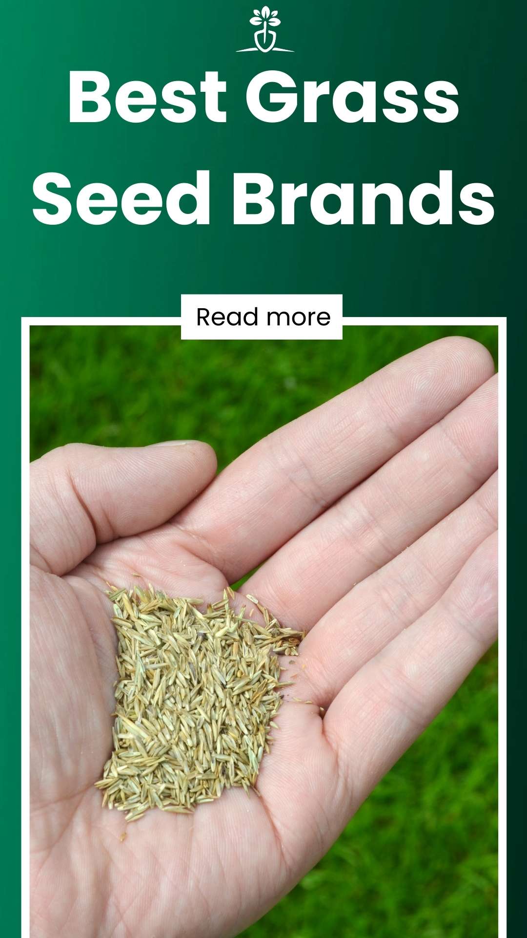 10 Best Grass Seed Brands (December 2025 Reviews)