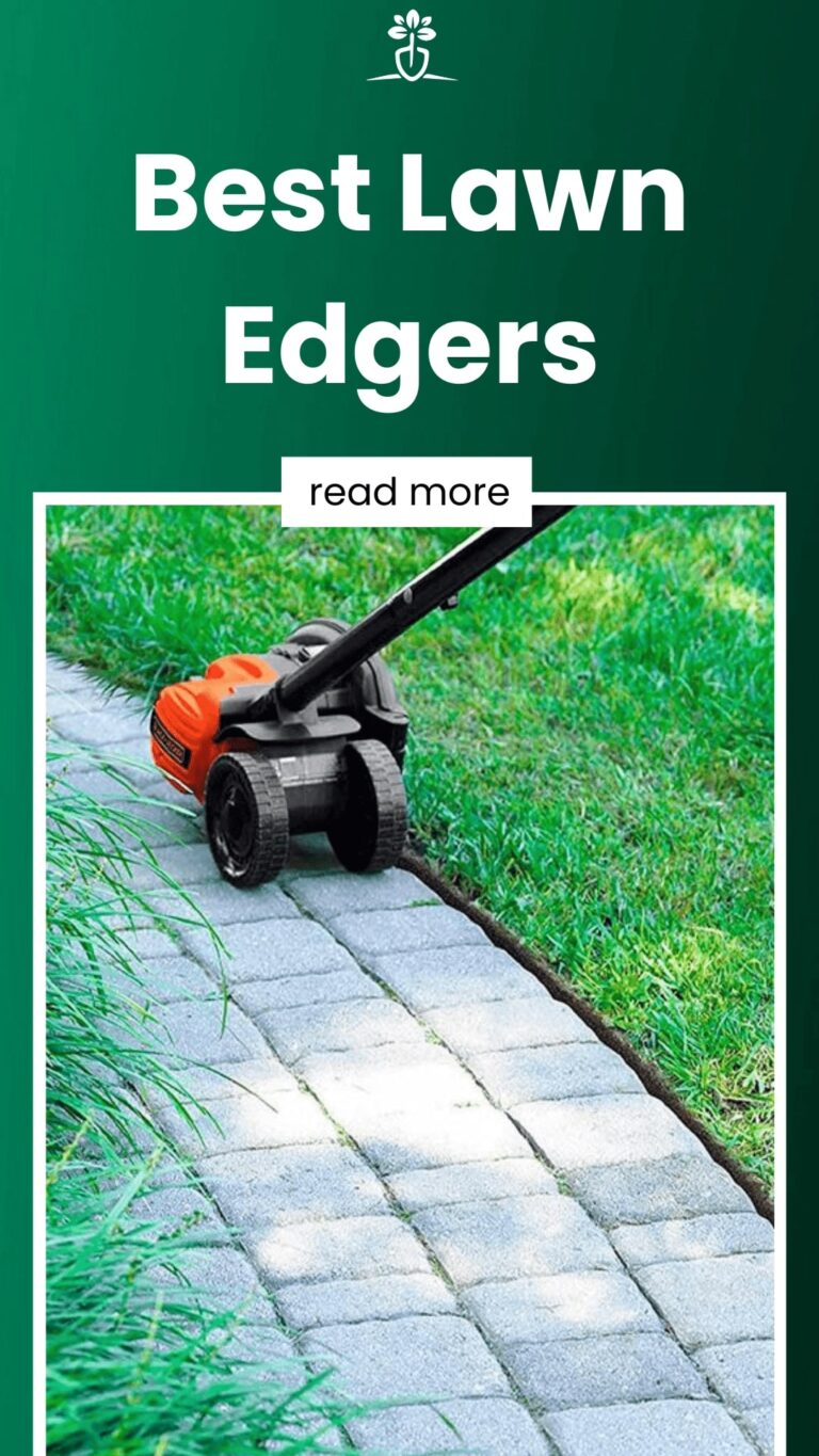 5 Best Lawn Edgers in 2025 (Gas, Cordless & Electric)